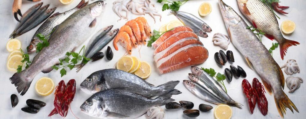 Galerie – DEWLA FISH SARL Mauritanie